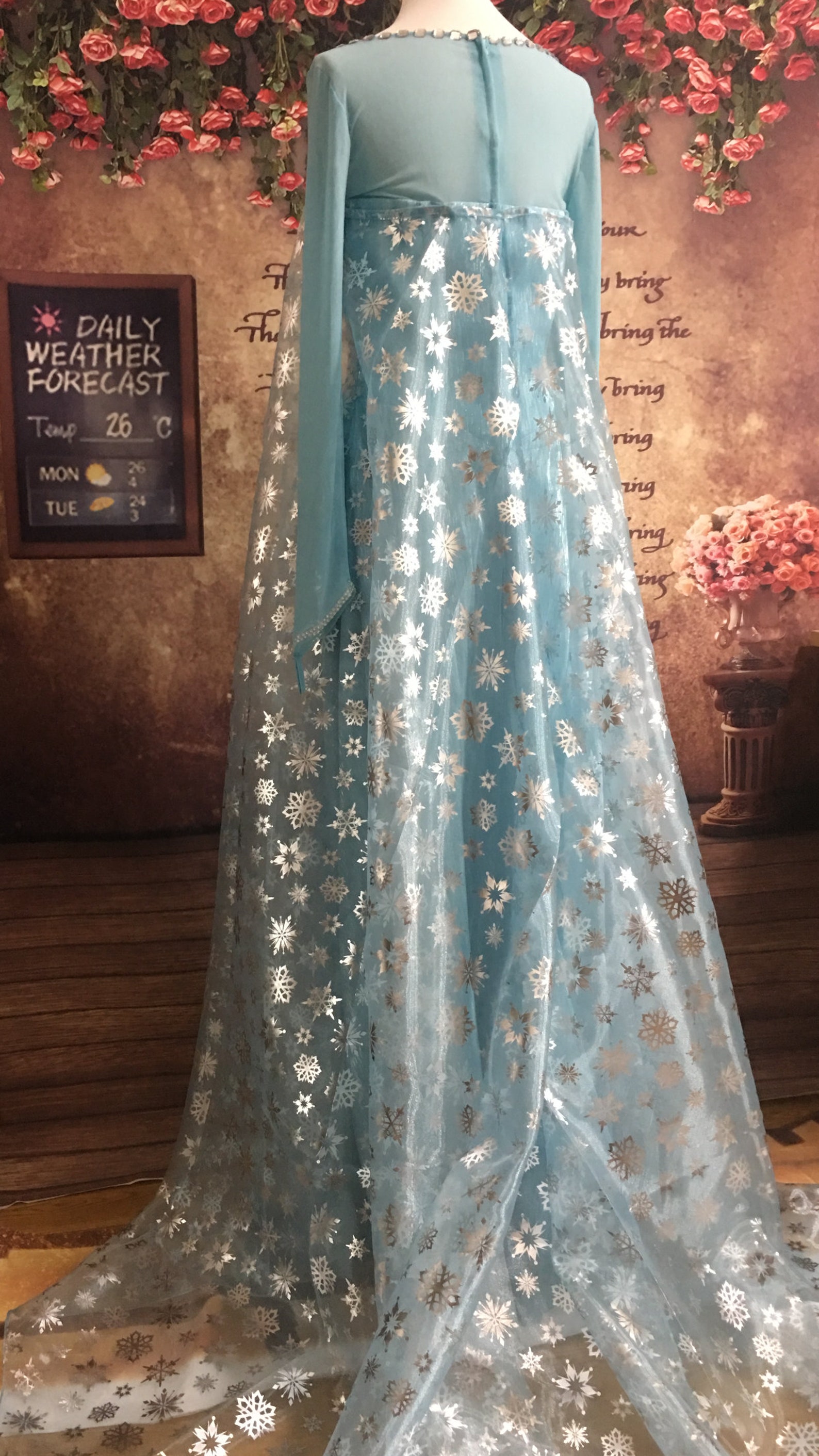 Elsa Dress Cosplay Costume - Etsy