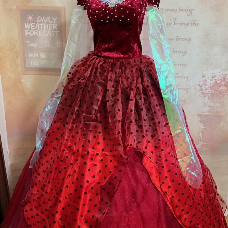 Ladybug Cosplay Adult - Etsy UK