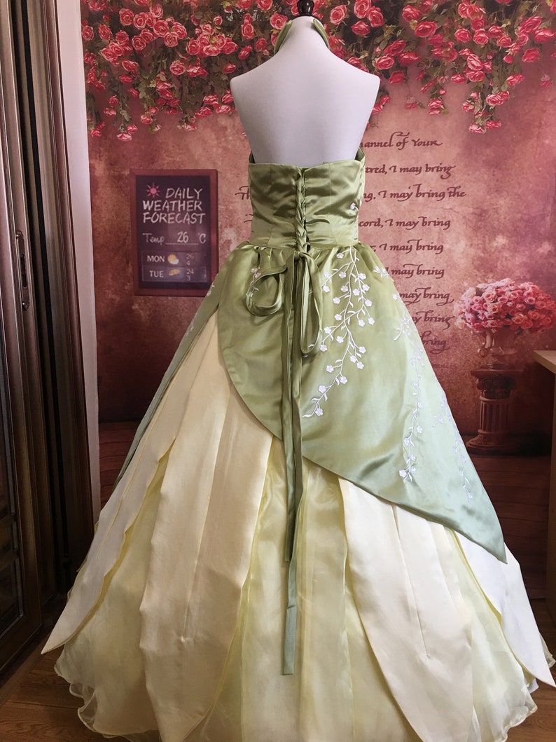 Embroidery Tiana Dress Princess and the Frog Cosplay Costume - Etsy