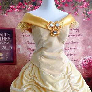 Belle Dress Adult Belle Cosplay Costume - Etsy