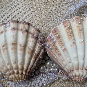 Mermaid Ariel Shell Bra Top Little Mermaid Seashell Bra Cosplay Costume ...