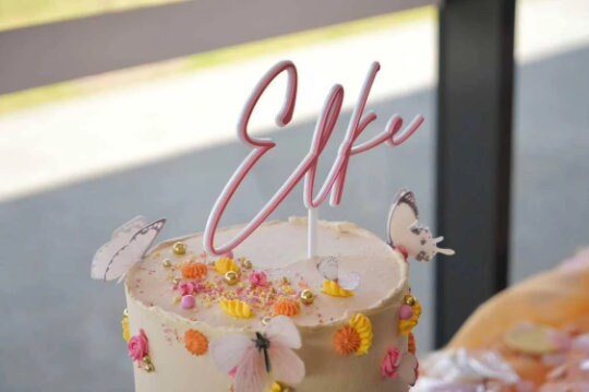 Double Layer Cake Topper, Funny Cake Topper, Custom Cake Topper, Modern ...