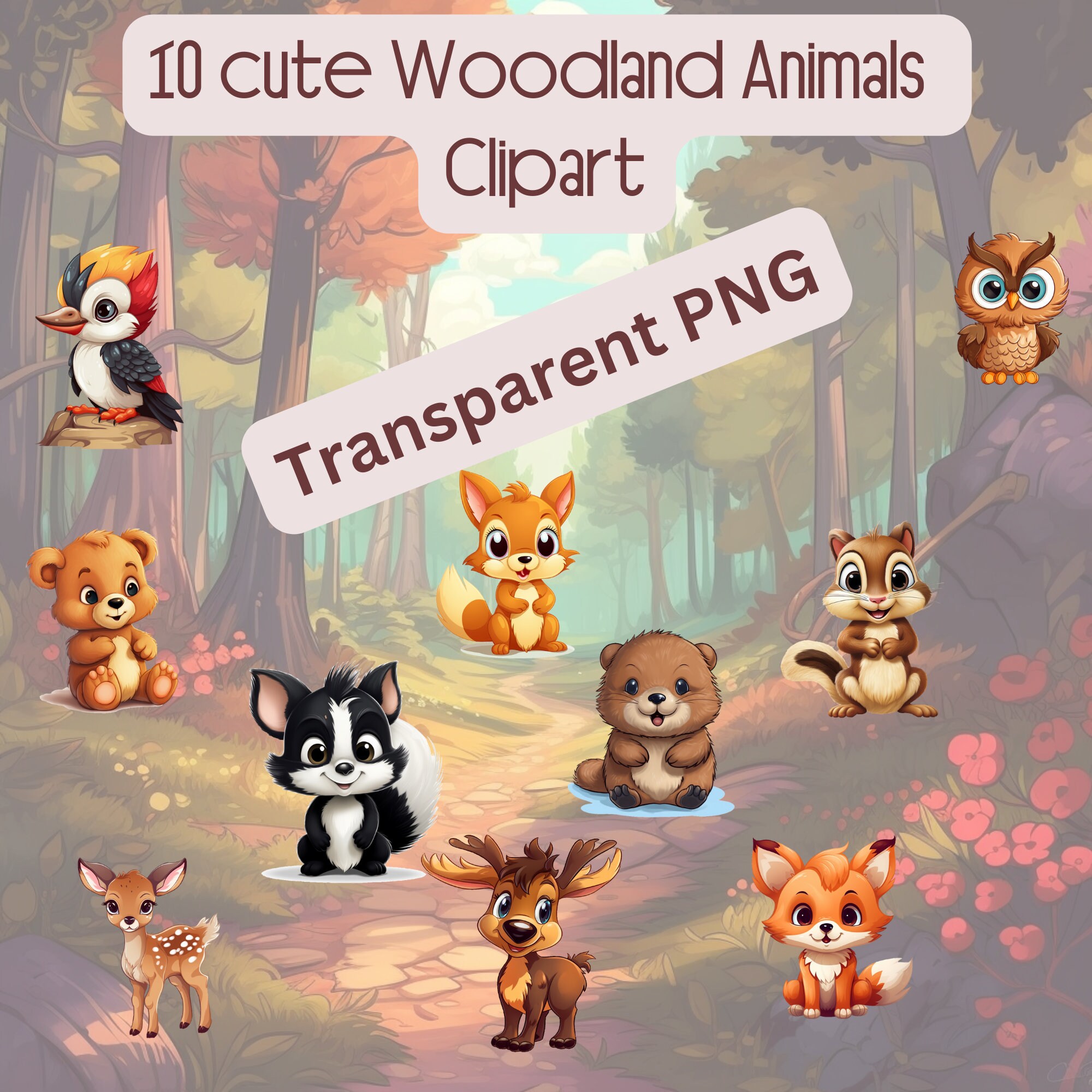 Woodland Animals Clipart Transparent Background PNG - Etsy