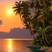 Tropical Sunset Phone Background, Sunset Background, Tropical Island ...