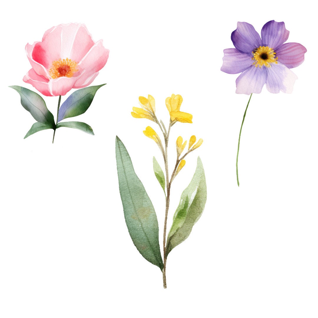 Watercolor Flowers Clipart, Floral Clipart - Etsy
