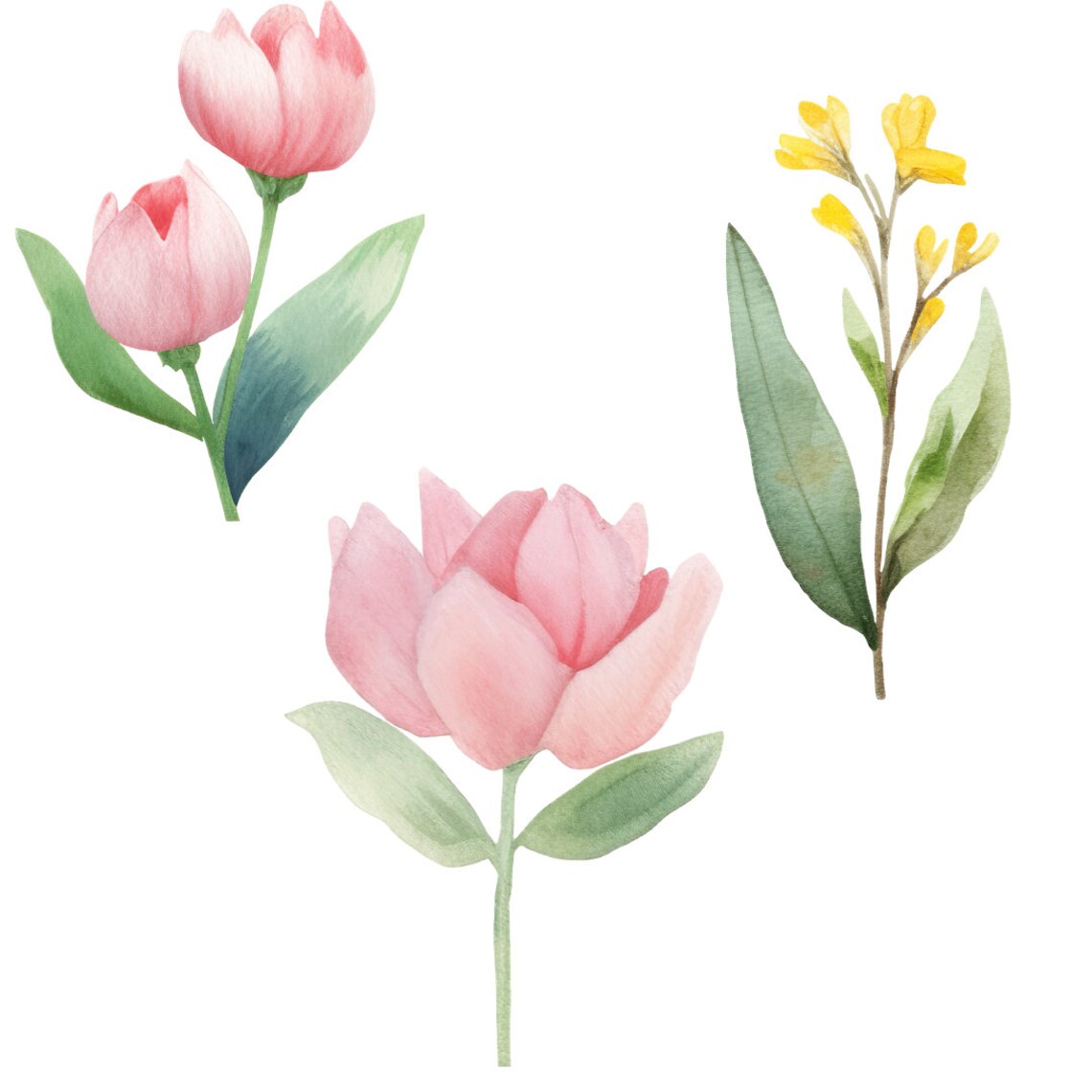 Watercolor Flowers Clipart, Floral Clipart - Etsy