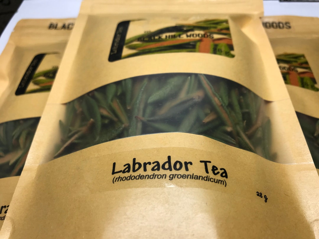 Wild Labrador Tea: Handpicked Newfoundland Whole Leaf Tea - Etsy