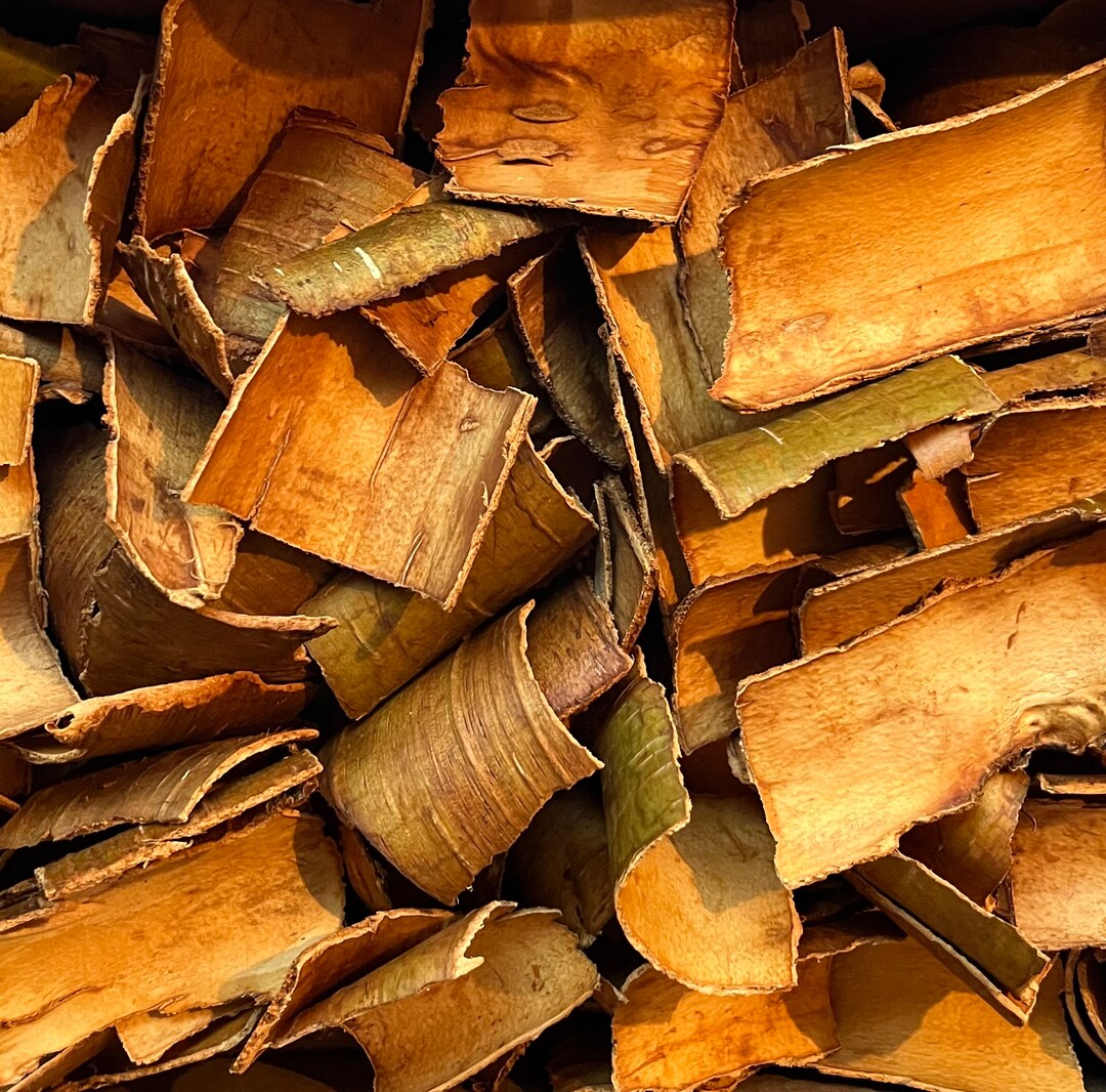 Birch Bark Tea - 3 Types - Yellow/golden Birch or Red Birch or White ...