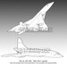 Concorde Svg, Eps, Ai, Dxf, Ai, Png, Jpg - Etsy