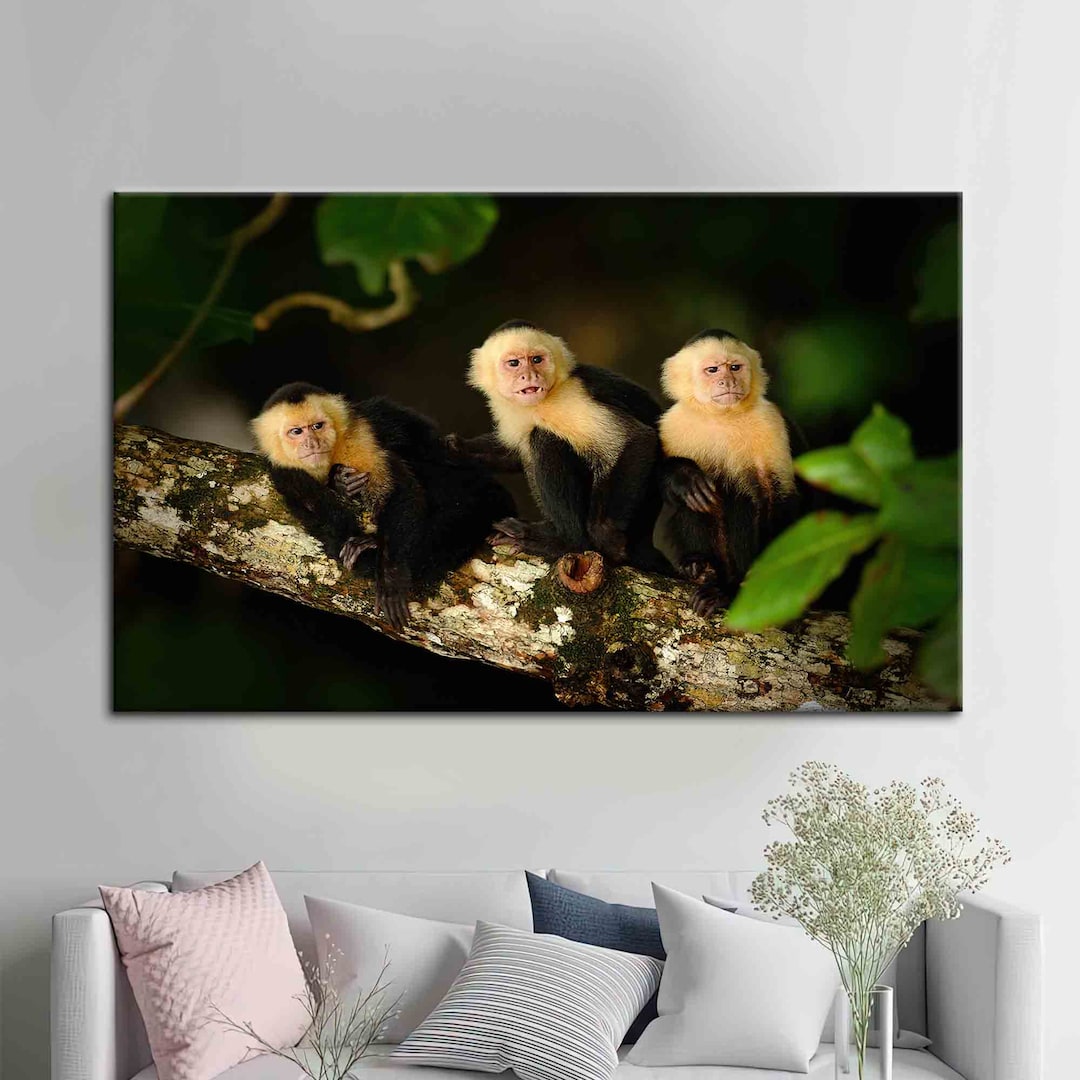 Forest Landscape Wall Art, Monkey Wall Art, Wild Monkey Wall Art, Wild ...