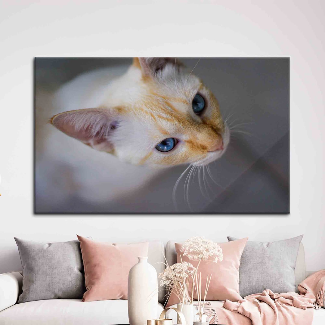 Cat Photo Print, Cat Artwork, Cat Photo Canvas Art, Animal Art Canvas ...