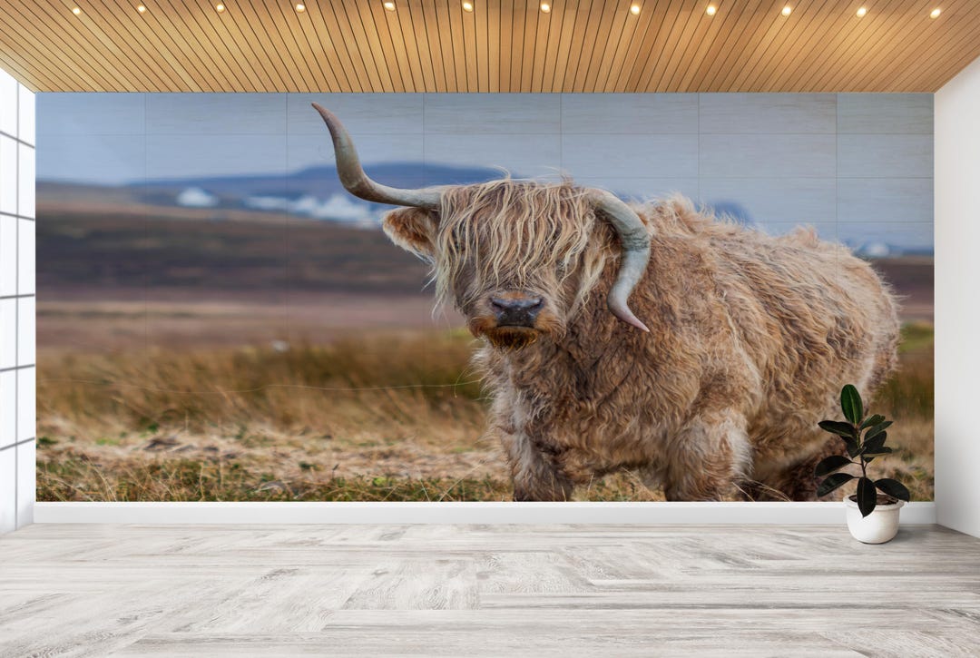 Cow Mural, Wallpaper Panels, Coastal Paper Art, Wild Animal Wall Art ...
