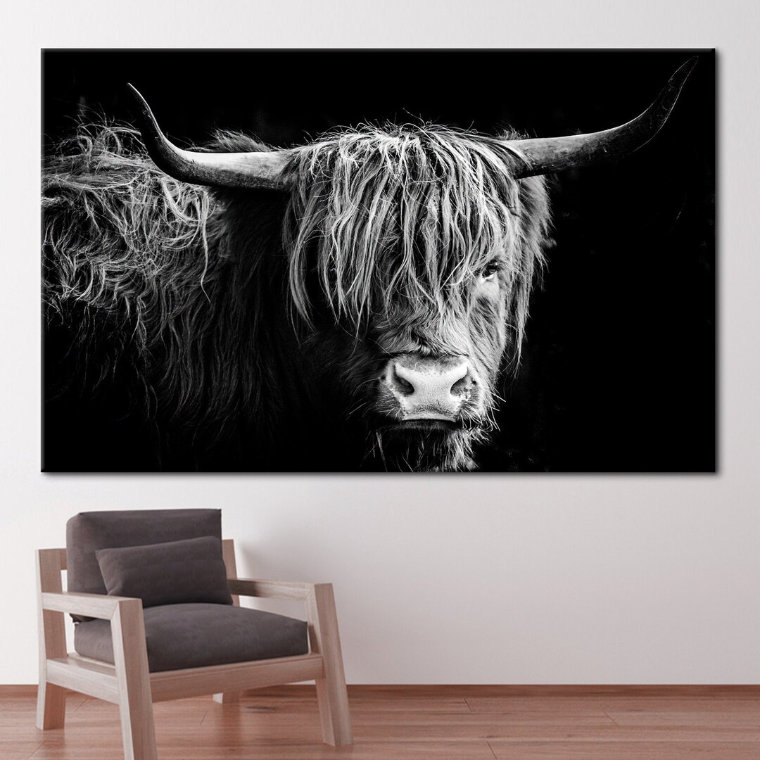 Bull, Wild Bull Art Canvas, Wild Animal Canvas Art, Scottish Highland ...