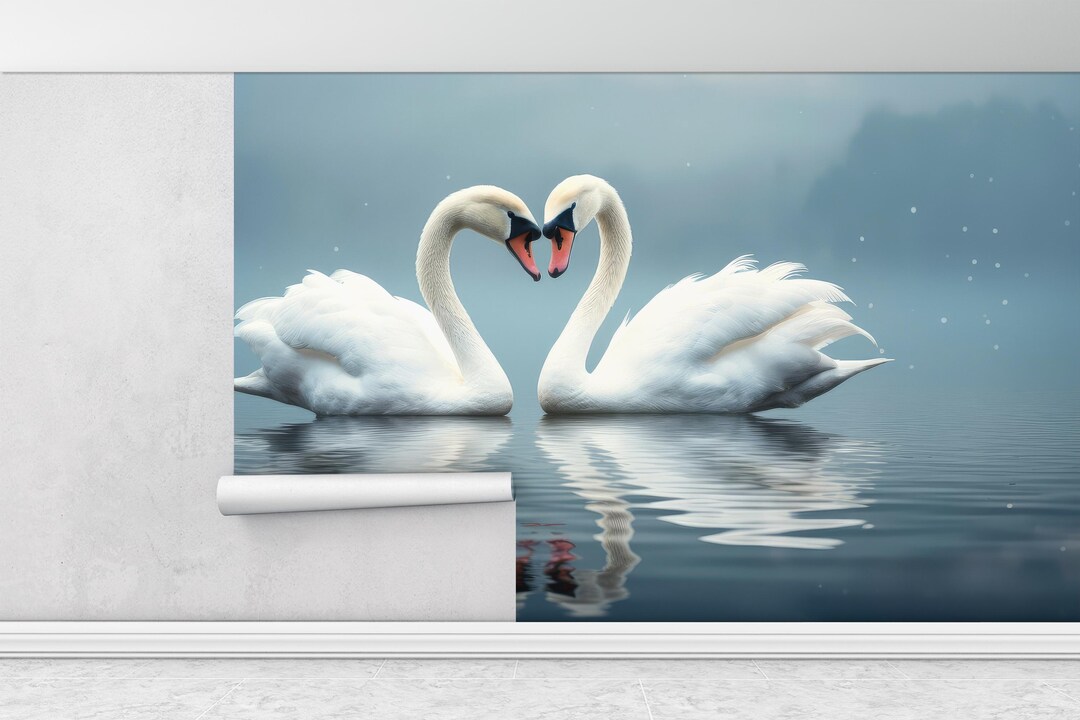 Two Swans Wall Paper, Animal Wall Stickers, Swans in Love Wall Art ...