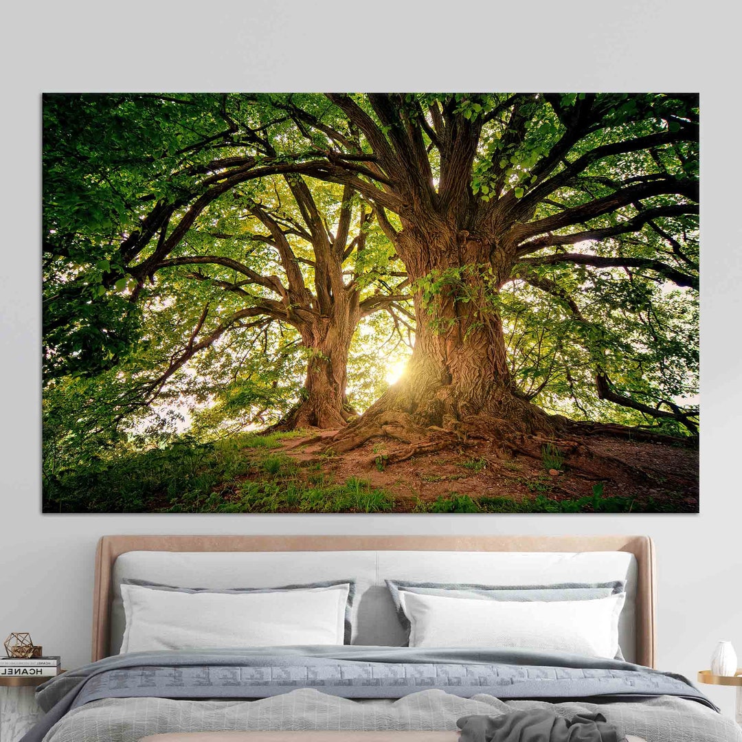 Forest View Canvas Print, Custom Wall Hanging, Canvas, Tree Photo Print ...