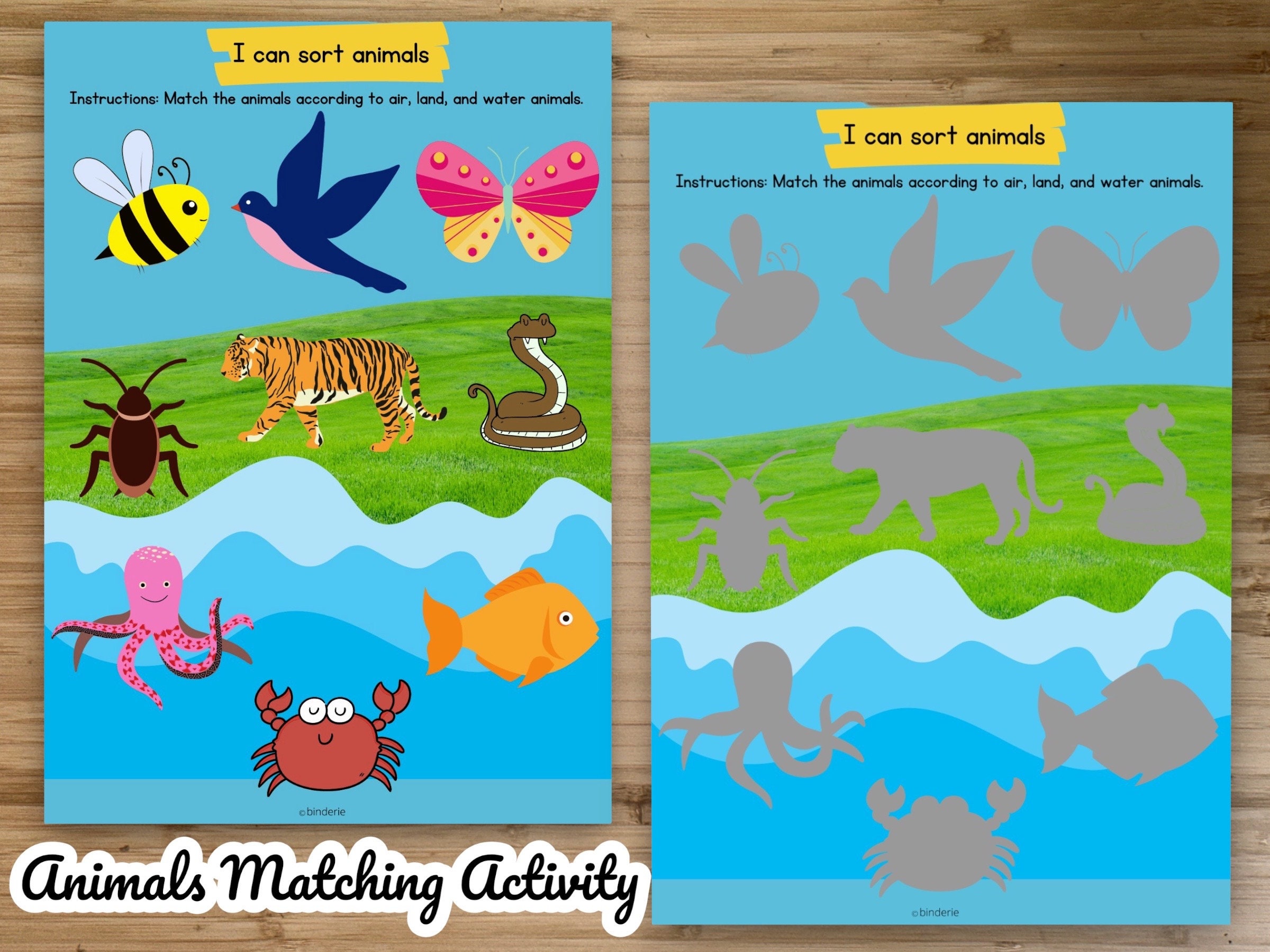 Freshwater Animals For Kids