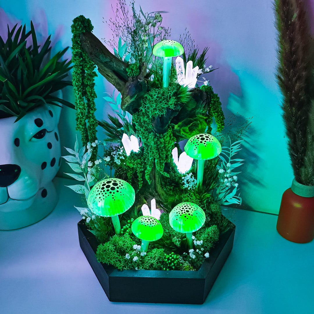 Mushroom, Mushroom Lamp, Mushroom Light, Glowing Fungi, Glowing ...