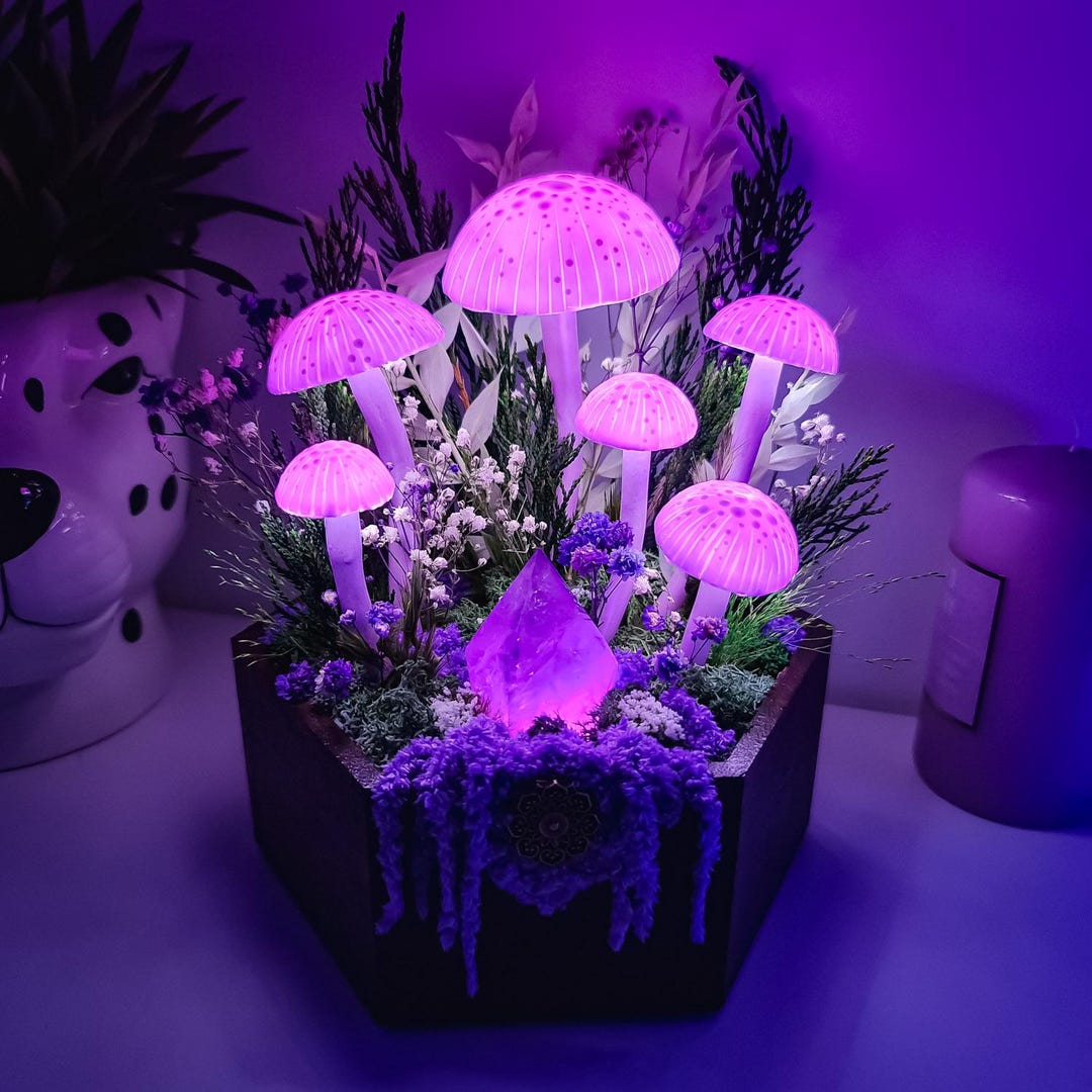 Mushroom, Mushroom Lamp, Mushroom Light, Glowing Fungi, Glowing ...