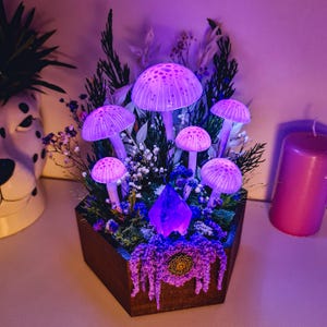 Mushroom, Mushroom Lamp, Mushroom Light, Glowing Fungi, Glowing ...