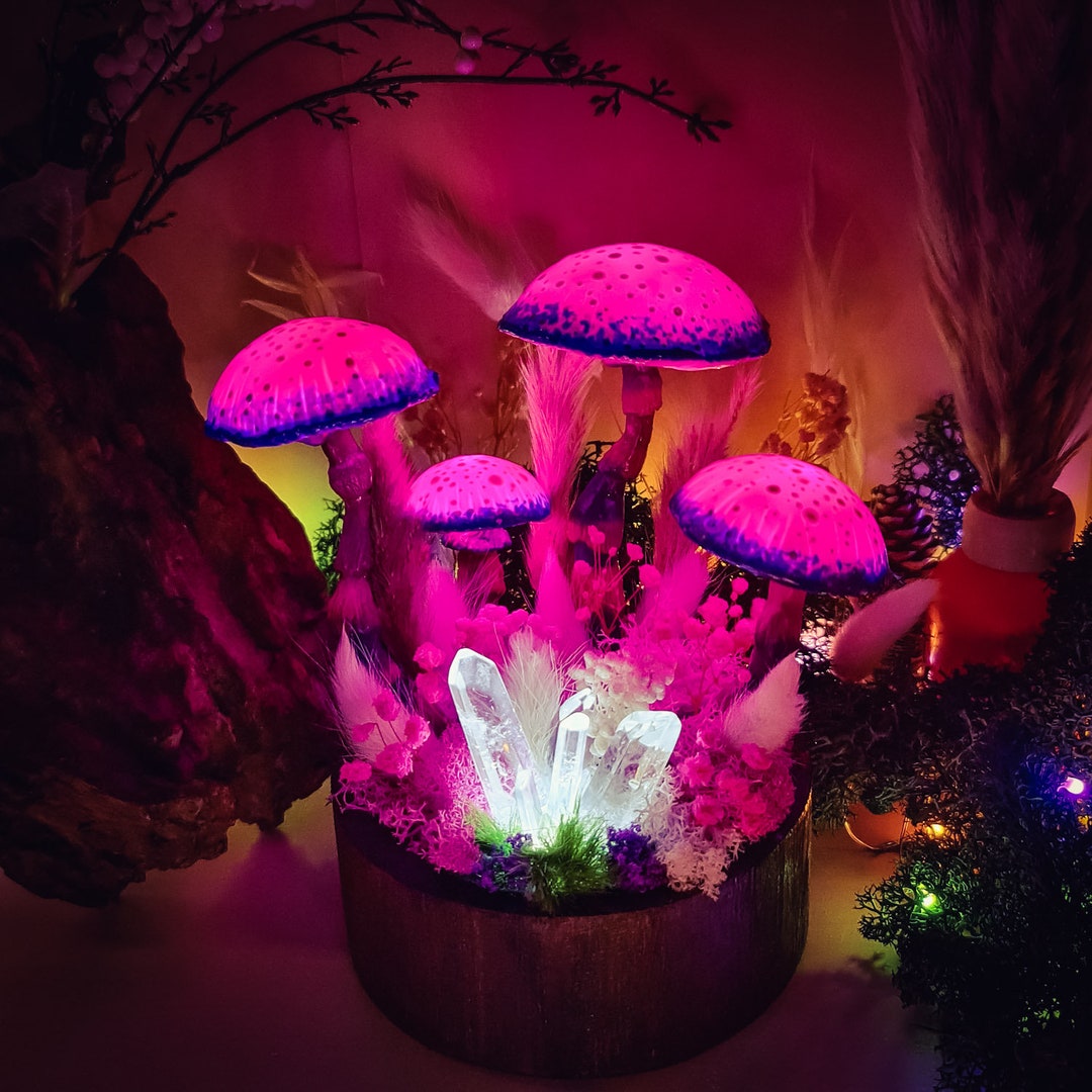Pink Mushroom Lamp, Mushroom Light, Glowing Fungi, Glowing Crystals ...