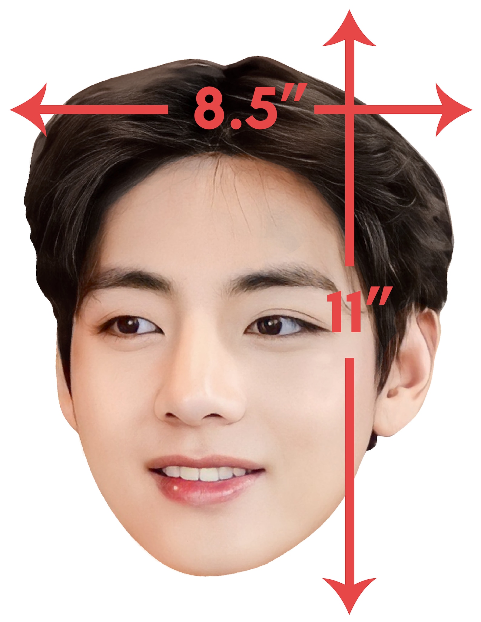 BTS Full Body Bts With Cartoon Body Party Decorations BTS Party ...