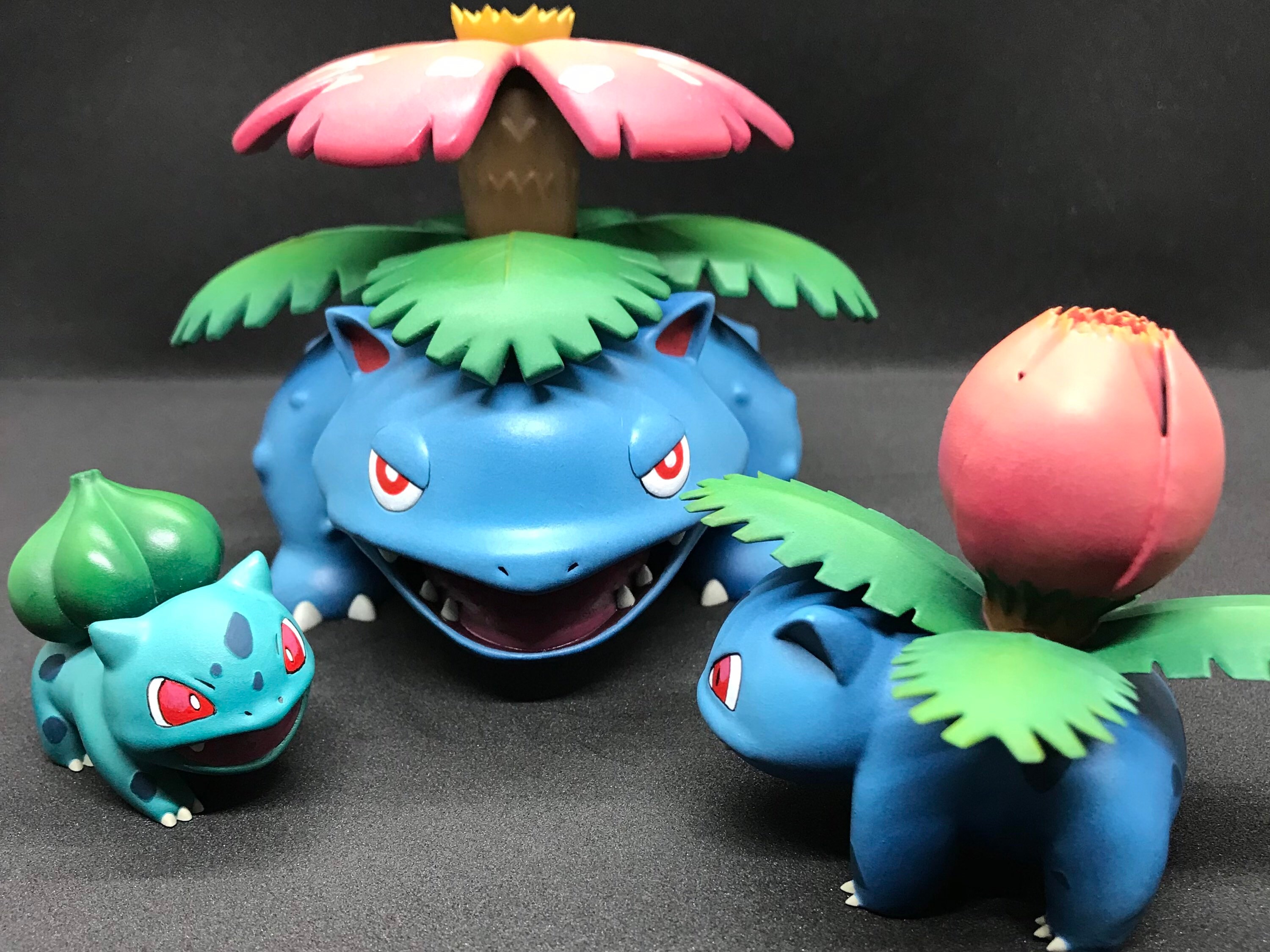 Bulbasaur / Ivysaur / Venusaur 3D Printed Resin Figure READ - Etsy