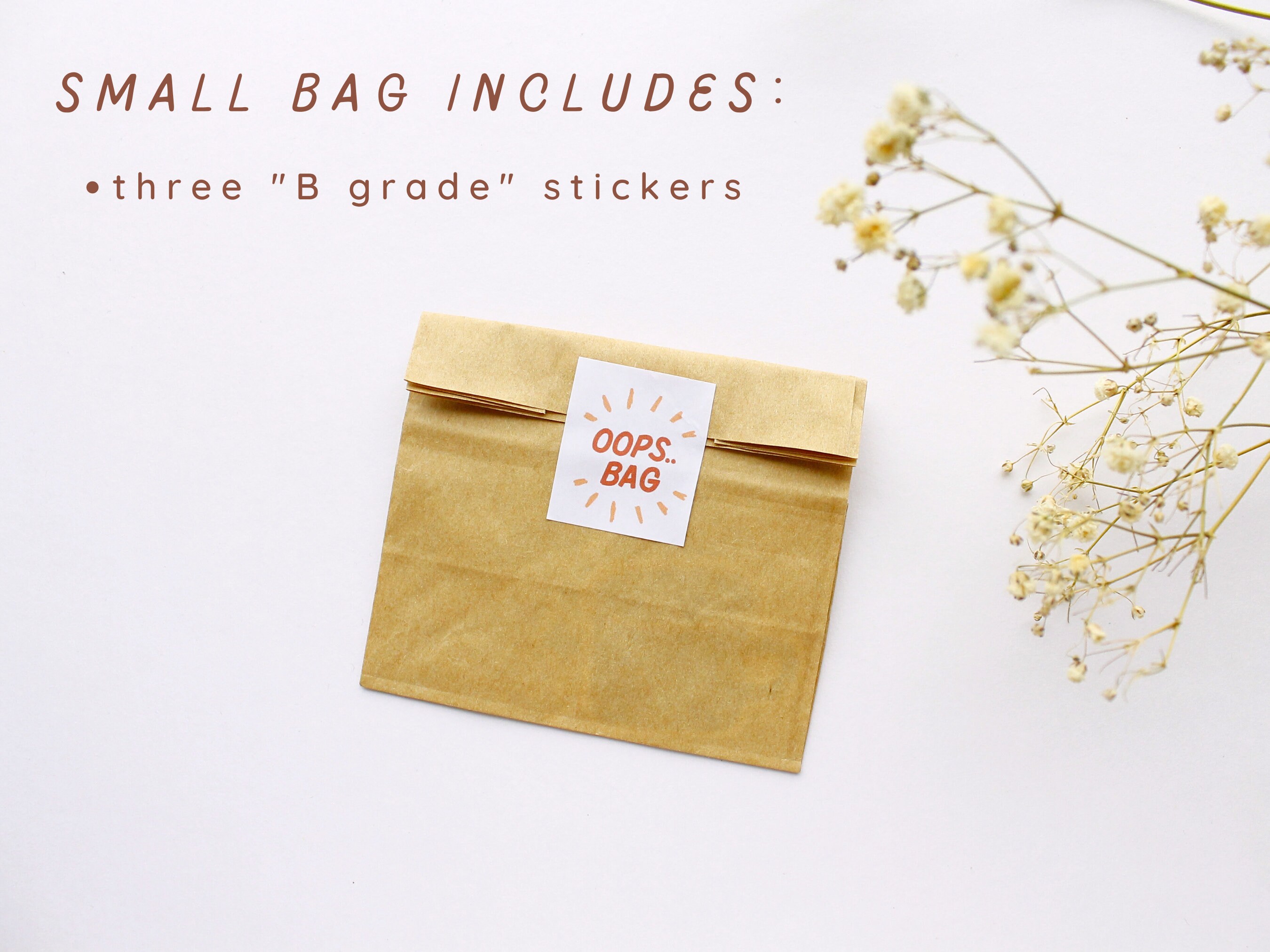 Oops Bag Grab Bag Sticker Grab Bag Oops Stickers - Etsy