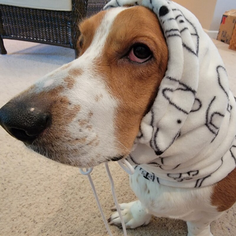 Snood - Etsy