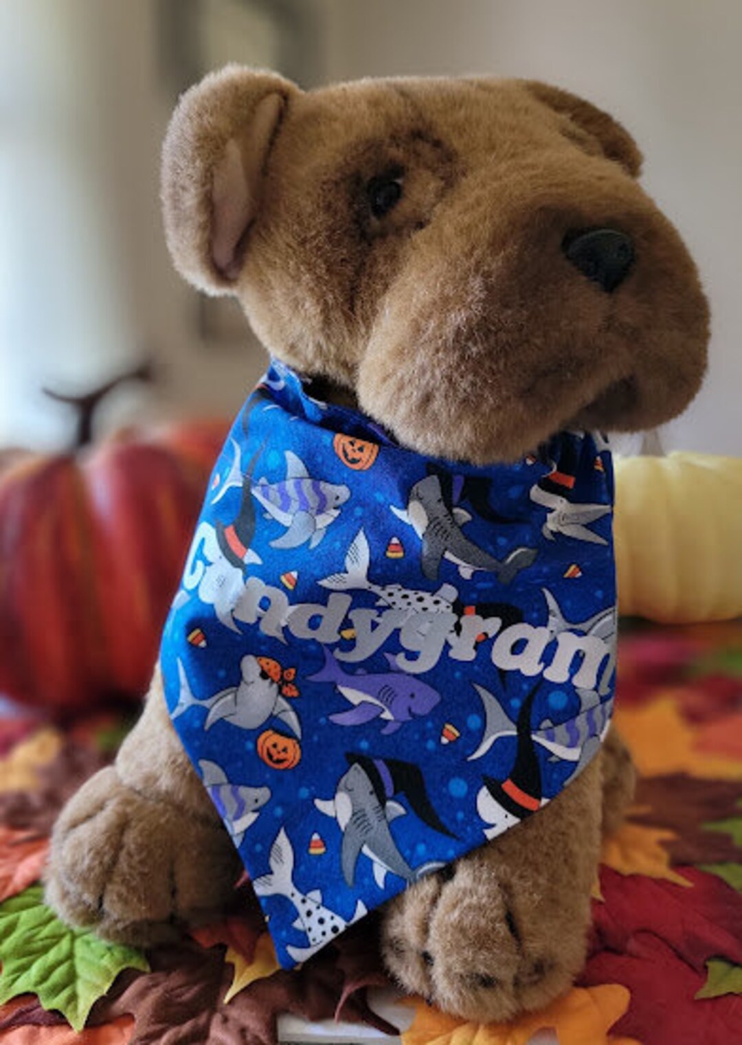 Trick or Treating Shark Candygram Collar Bandana - Etsy