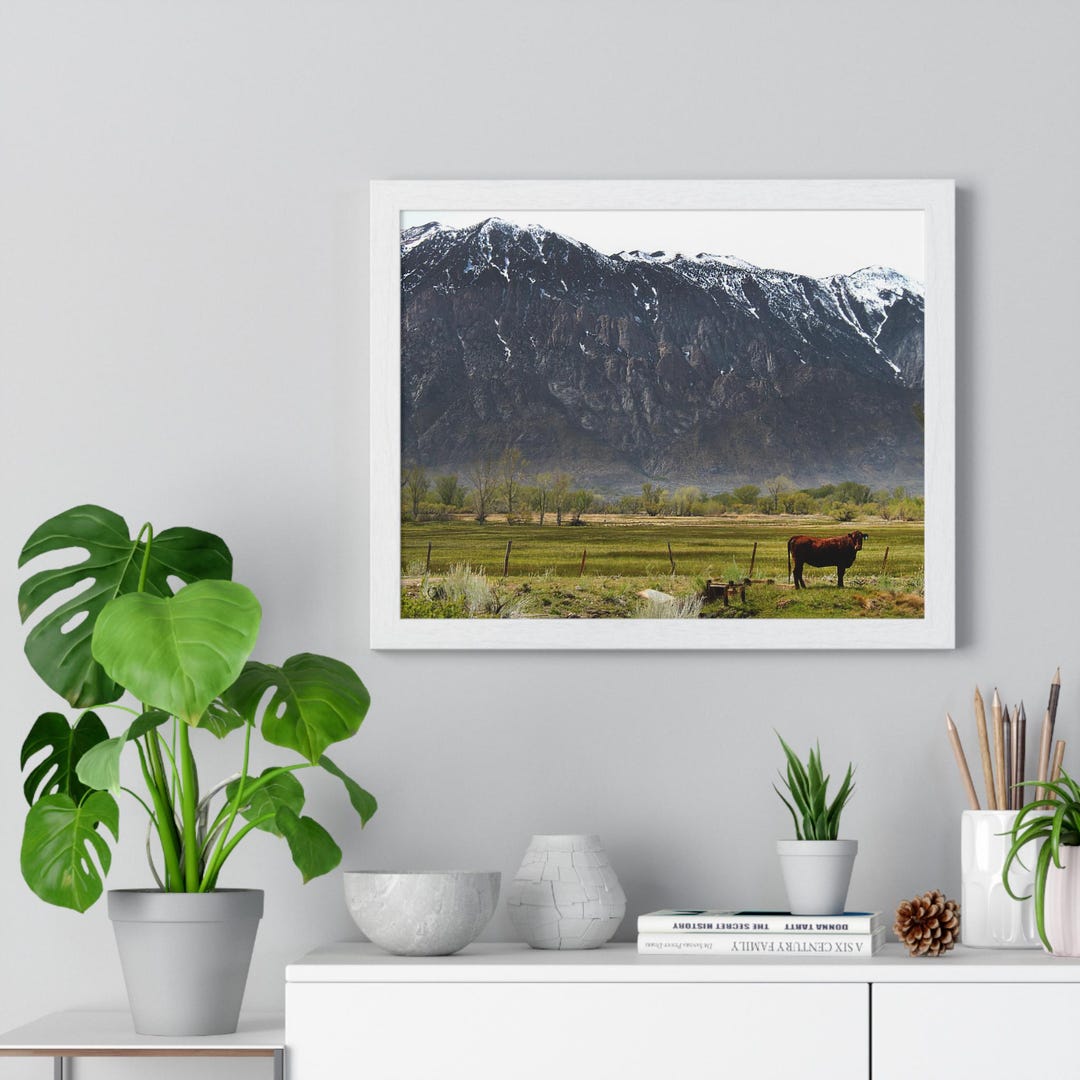 Mountain Cow Horizontal Framed Poster, Nature Photography Wall Art ...