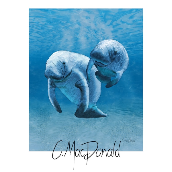 Manatee Art - Etsy