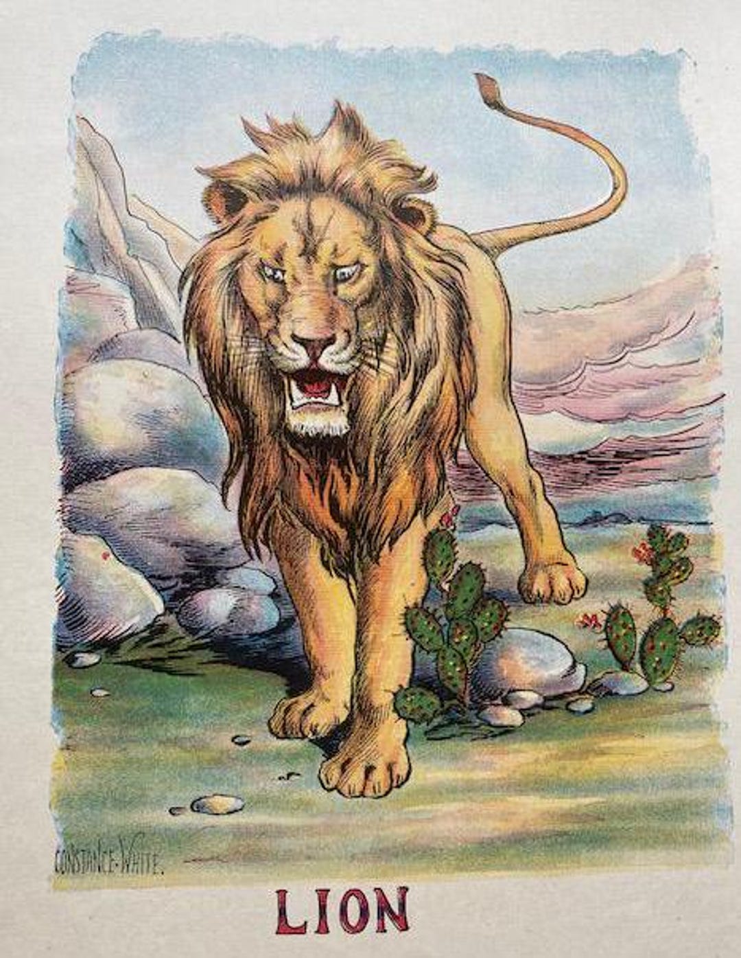 Vintage Children's Book Illustration Male LION by Constance White - Etsy