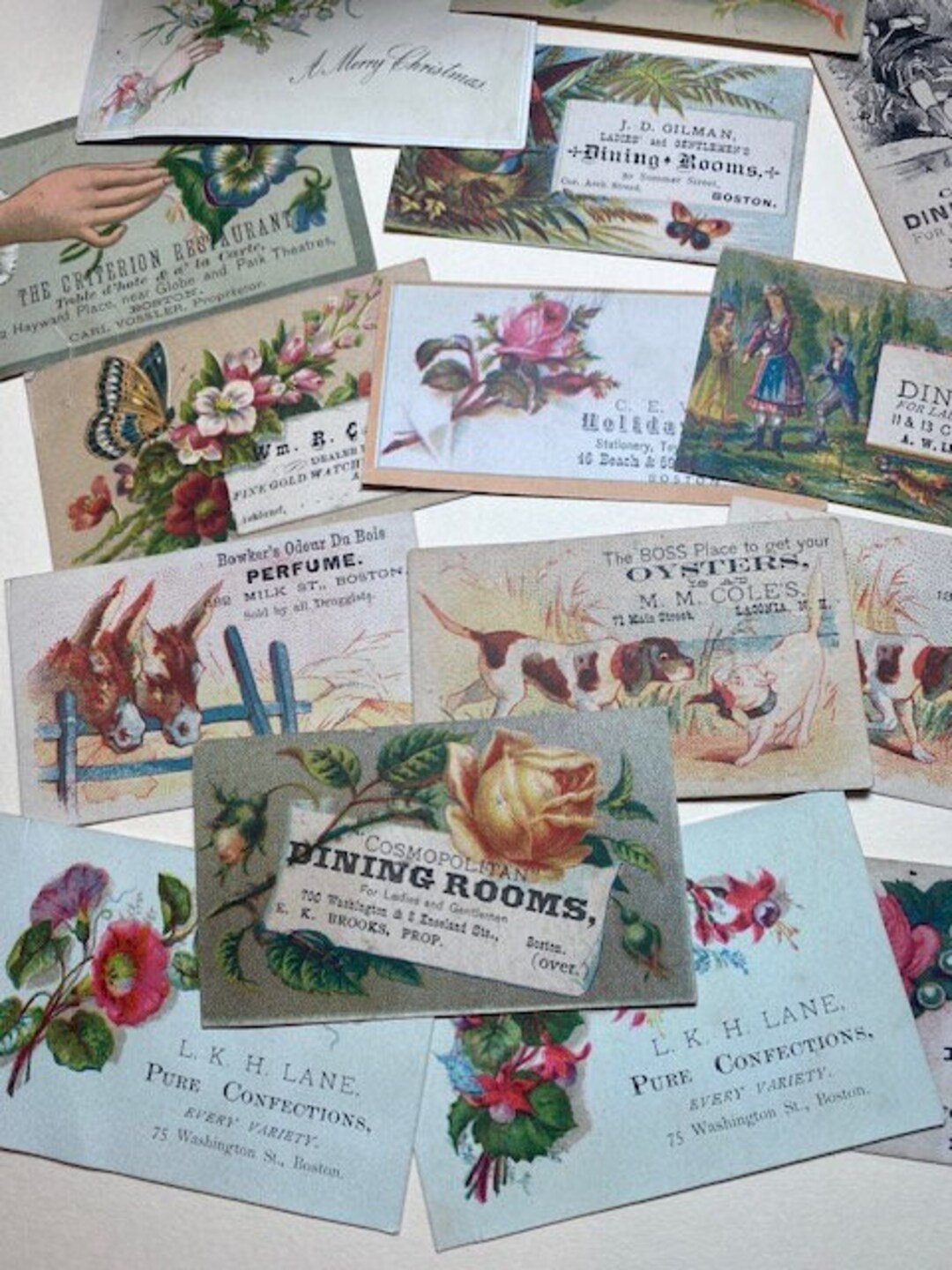 Vintage Business Calling Cards Dogs Mules Birds Flowers Lot of 14 ...