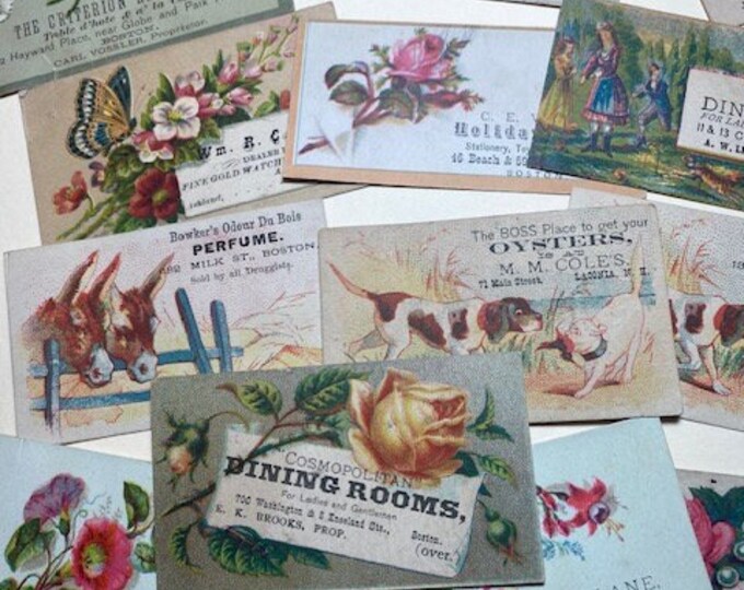 Vintage Business Calling Cards Dogs Mules Birds Flowers - Lot of 14 ...