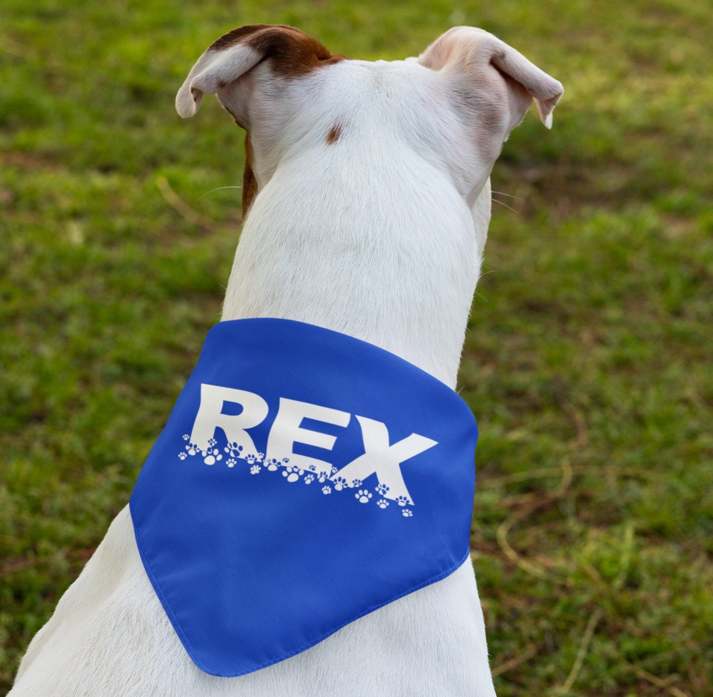 Paw Font, Dog Font, Pet Font, SVG, PNG, Vector, Apparel Graphic, Cricut ...