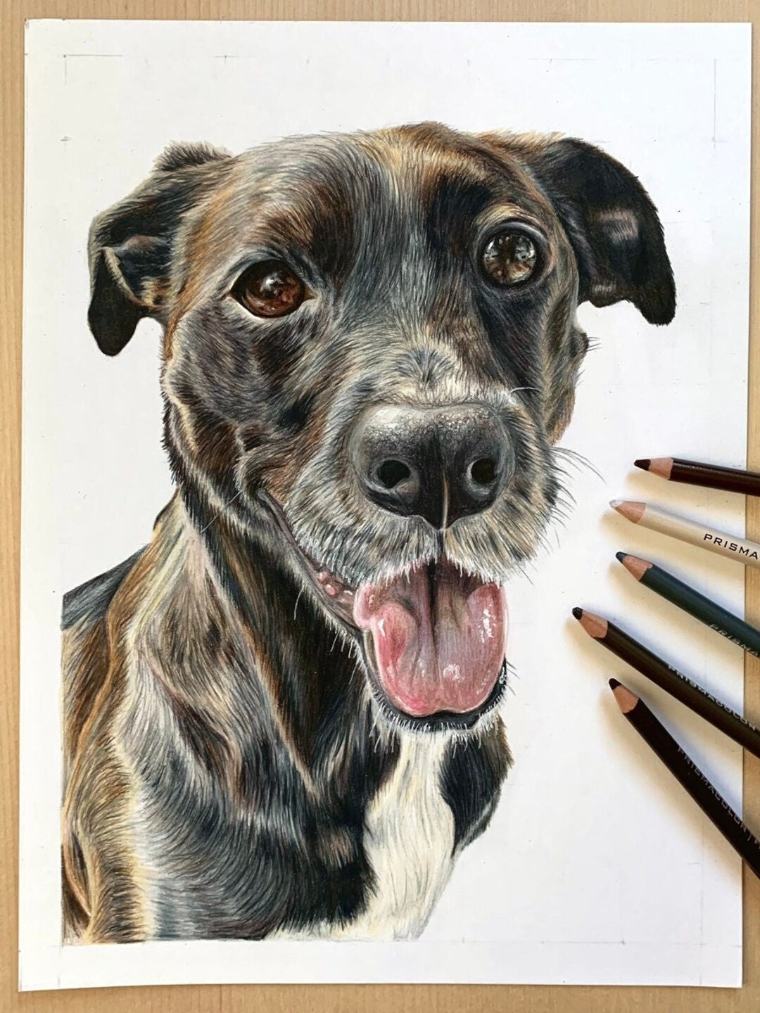 Custom Pet Portrait / Pet Colored Pencil Drawing / Realistic Pet ...