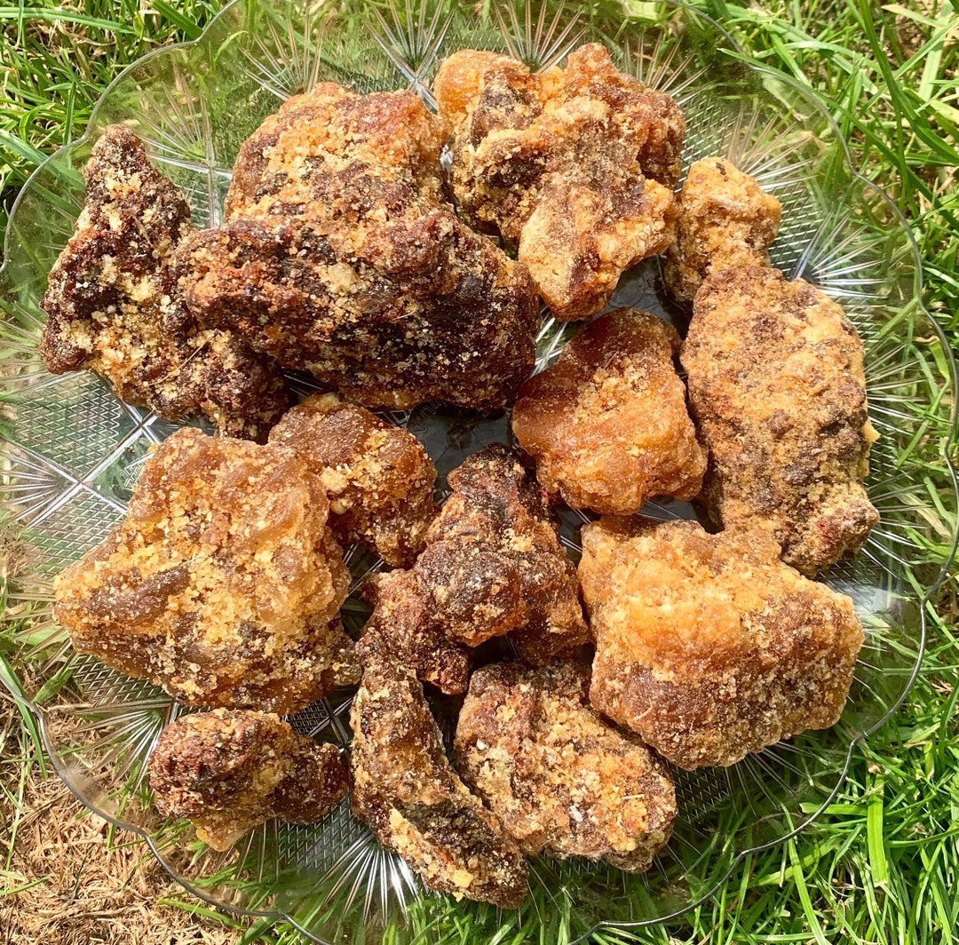 Opopanax Sweet Myrrh Gum Resin Incense - Opopanax Chironium - Etsy