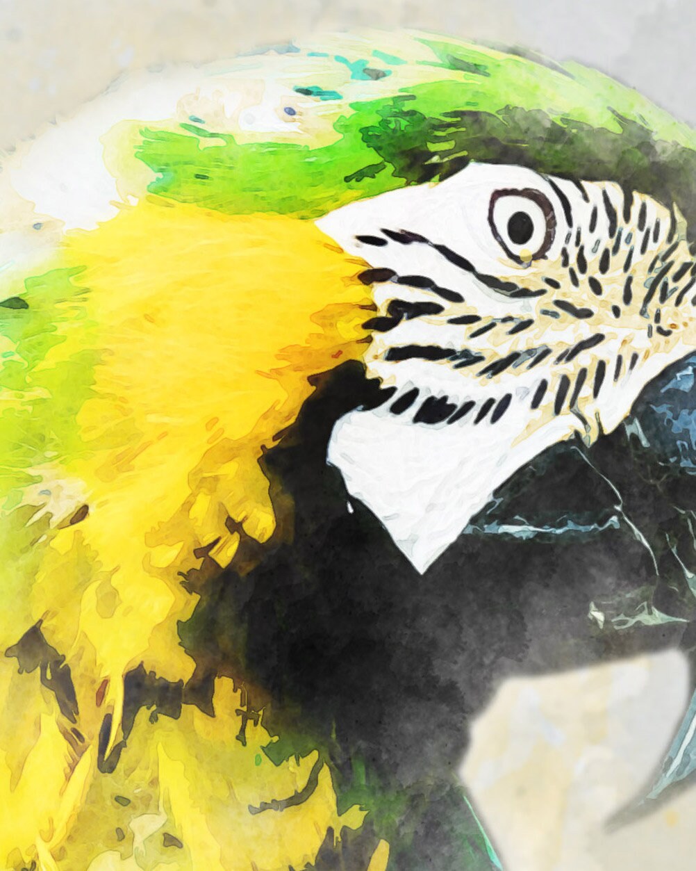 Pintura de acuarela de loros, Arte mural animal, Póster tropical ...
