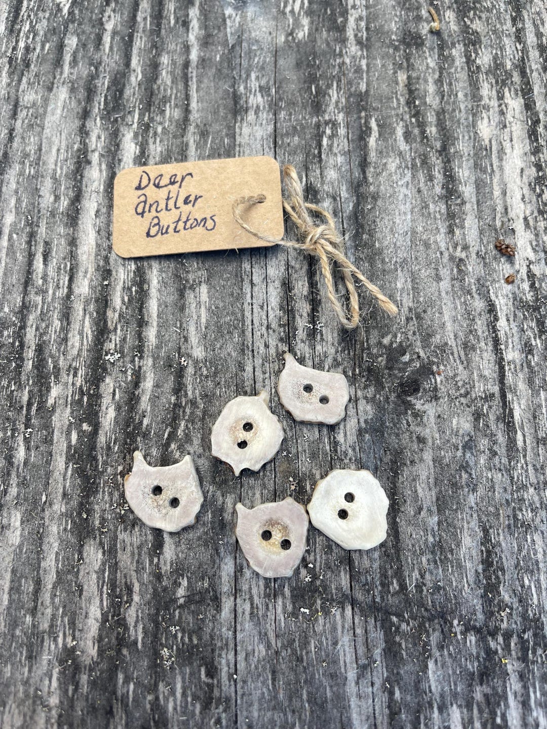 Set of Five Handmade Sanded and Polished Deer Antler Buttons - Etsy