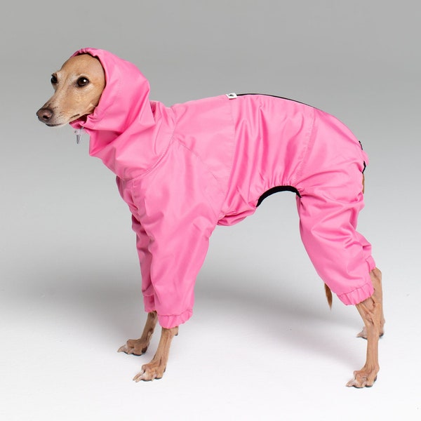 Italian Greyhound Clothing - Etsy