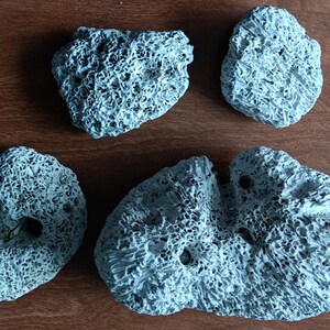 Worm Stone Tower, Fossilized Wormstone, Beach Stones, Rare Stones - Etsy