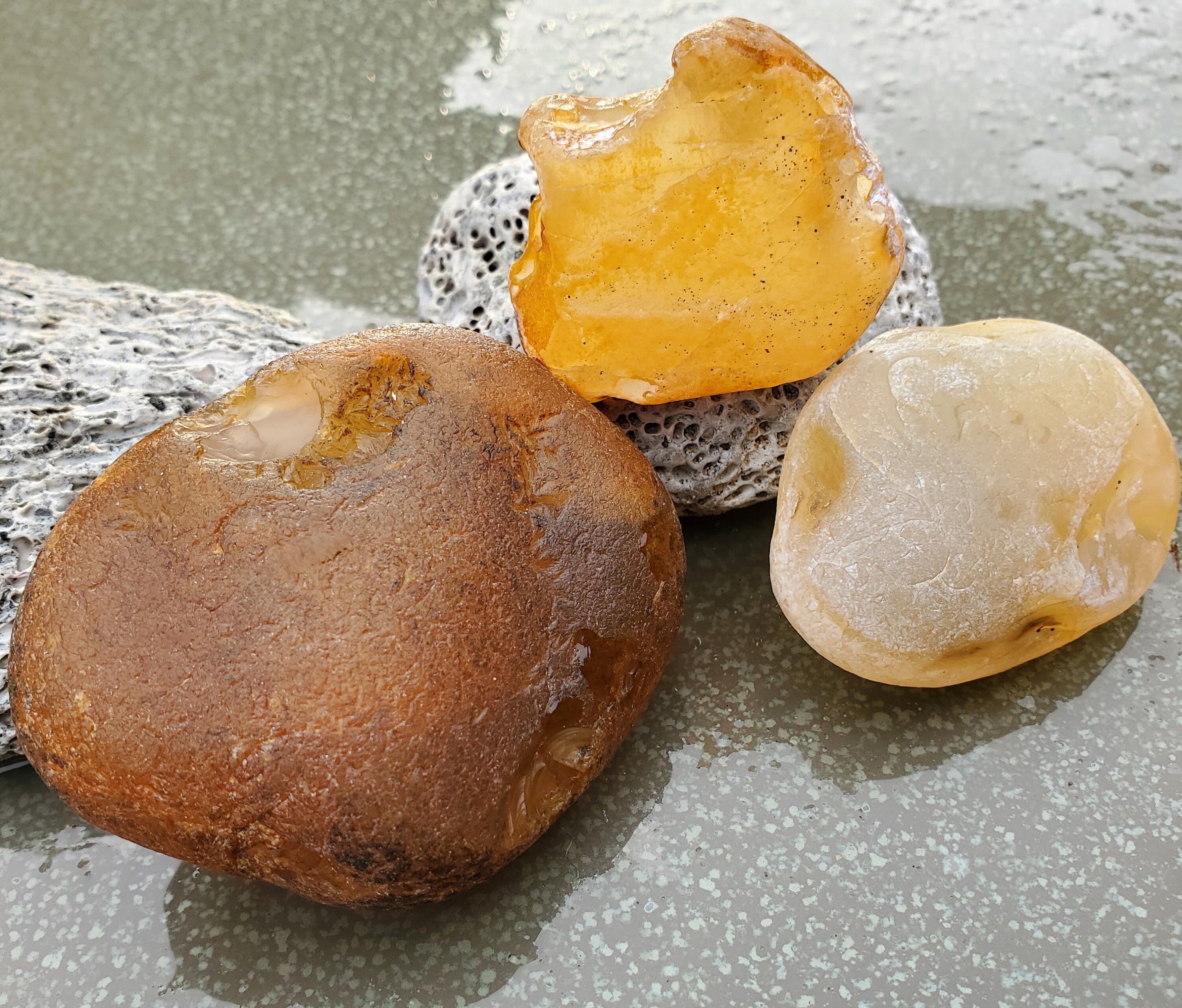 Oregon Agates, Raw and Unpolished - Etsy