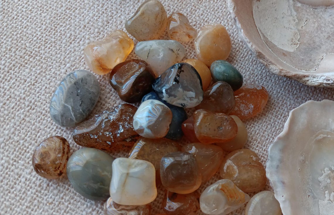 Oregon Coast Agates in Seashells: Polished Gemstone Collection - Etsy