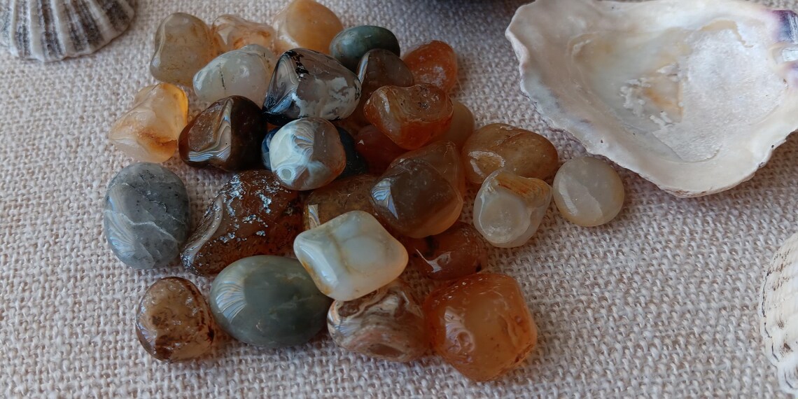Oregon Coast Agates in Seashells: Polished Gemstone Collection - Etsy