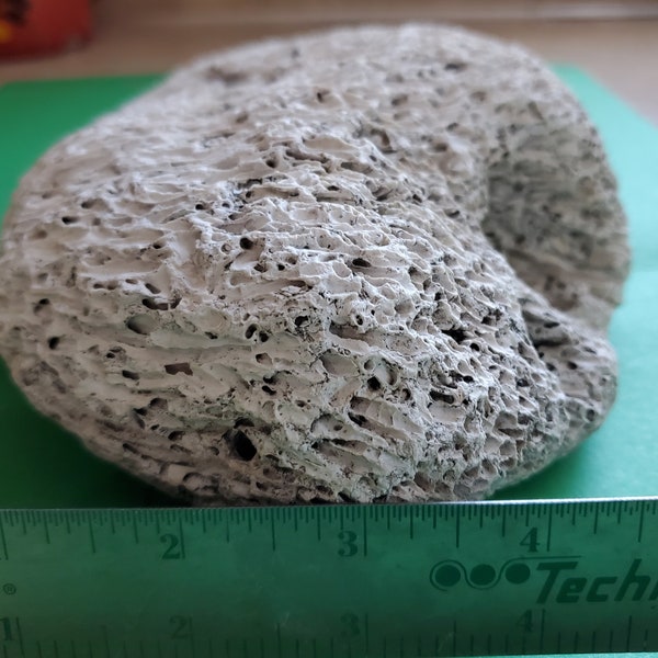 The Rock Worm - Etsy