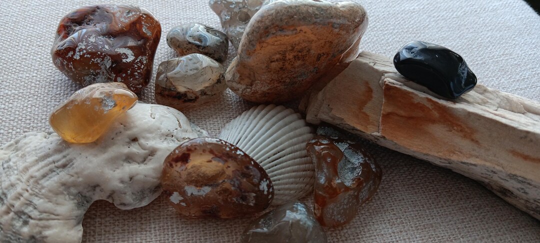 Polished Oregon Agates: Multi-colored Gems - Etsy