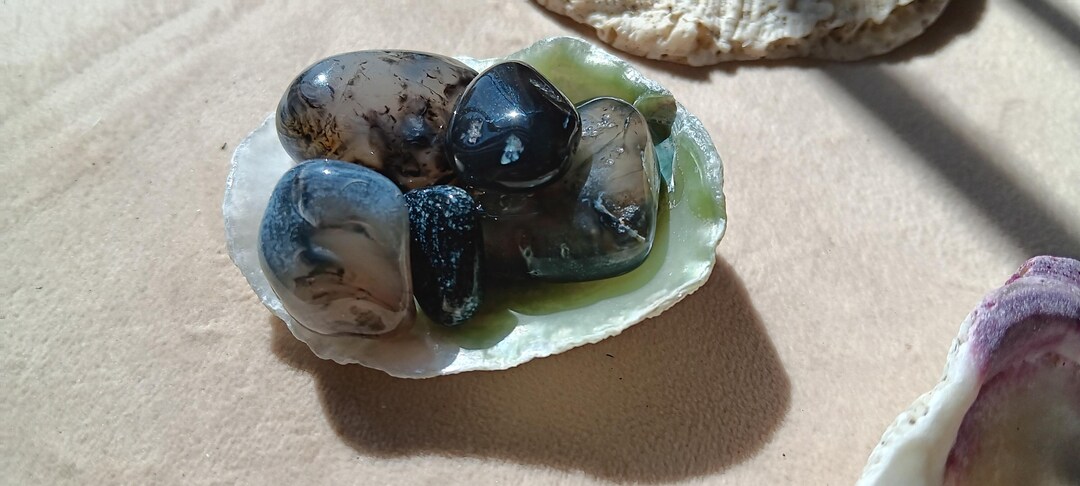 Pacific Ocean Blue Agates! Nestled in a Natural Shell. - Etsy