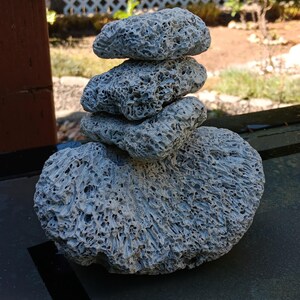 Worm Stone Tower, Fossilized Wormstone, Beach Stones, Rare Stones - Etsy