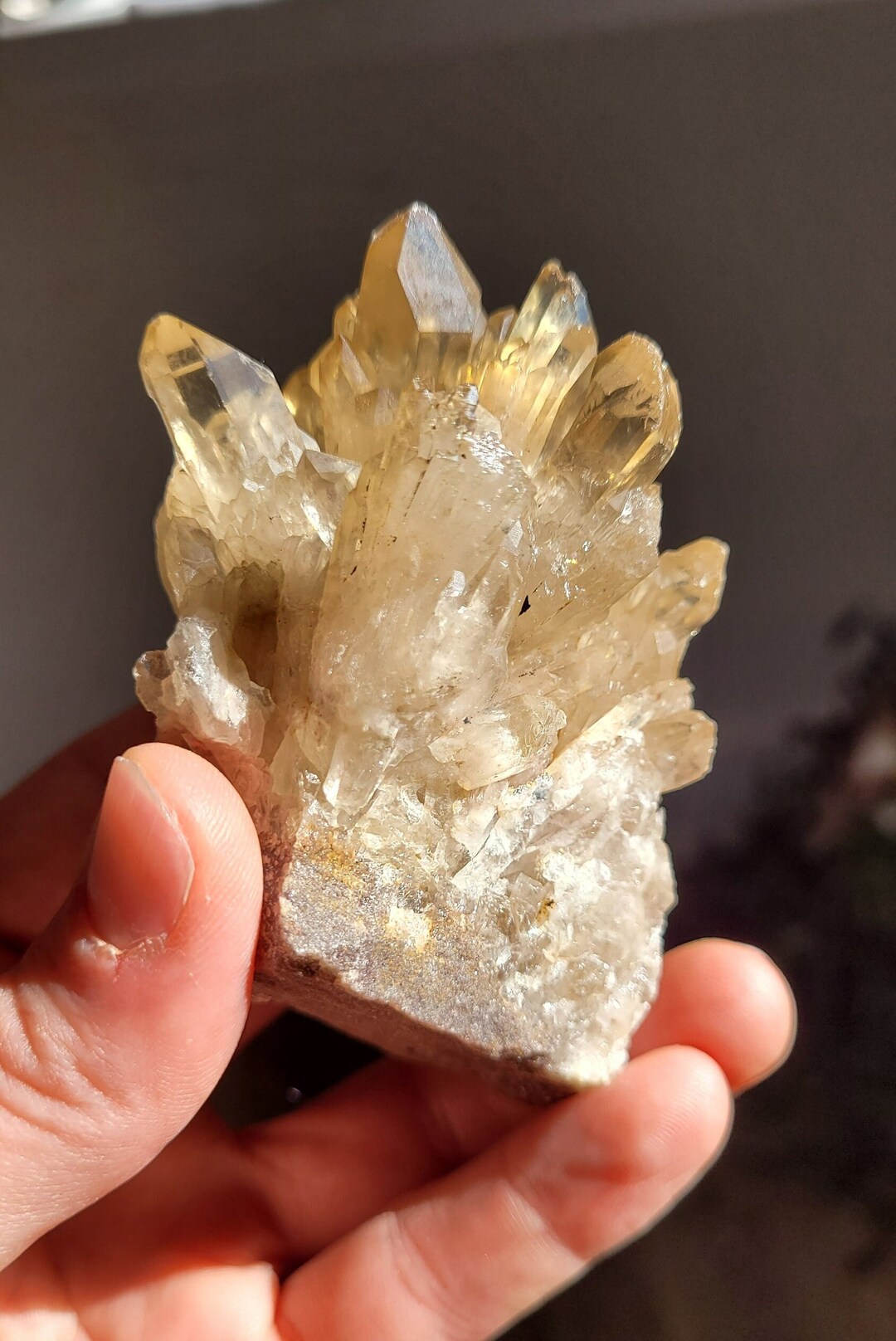 Congo Citrine - Etsy