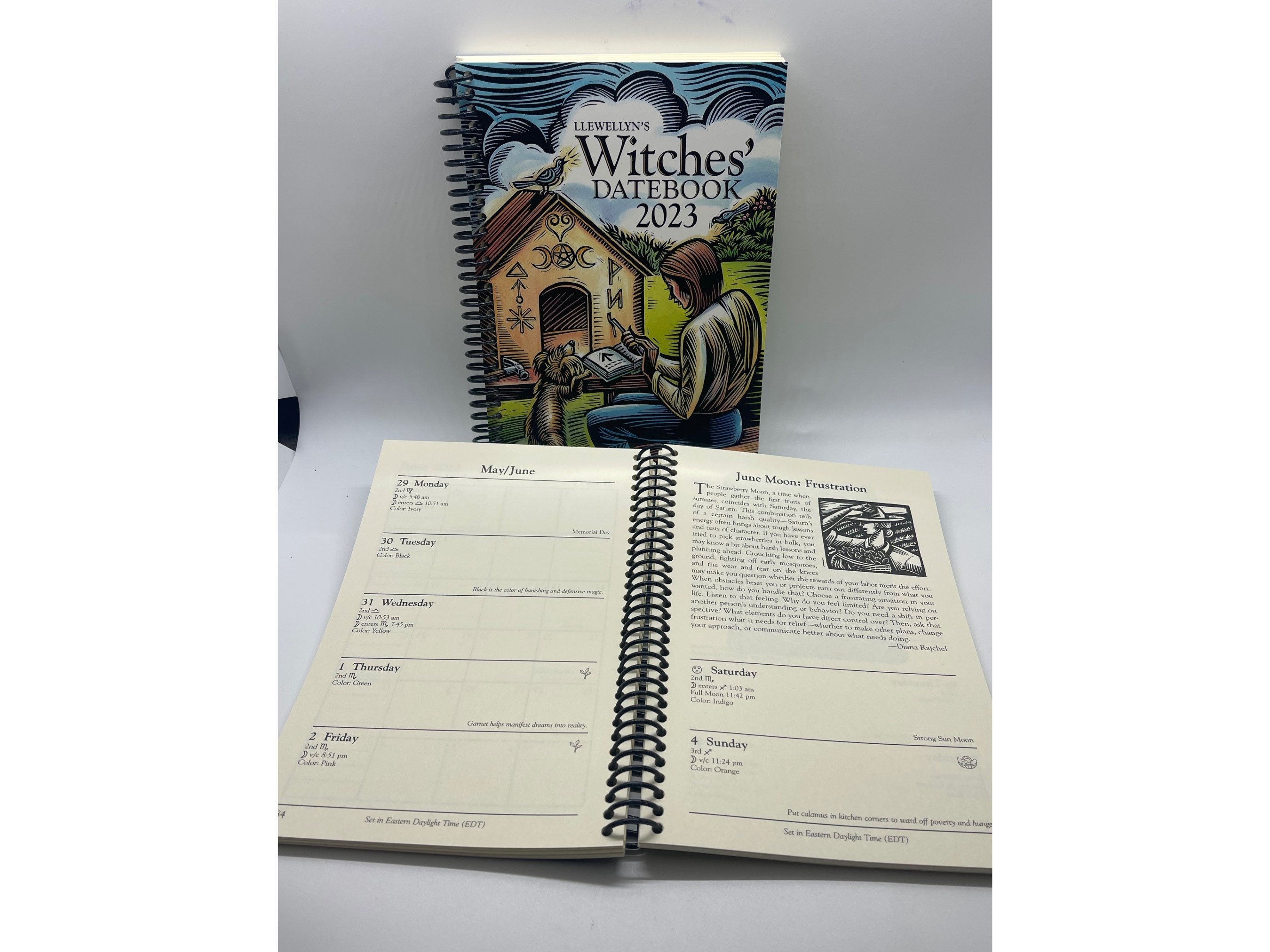 Llewellyns 2023 Witches Datebook By Llewellyn Etsy